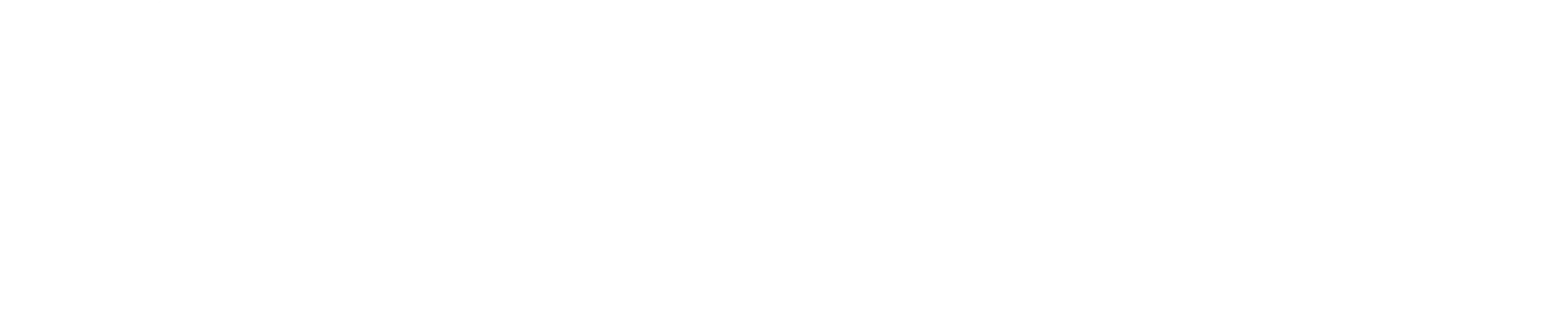 About Us Learn More About Star Security Solutions India